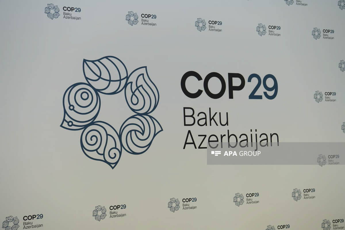 Представлен логотип COP29